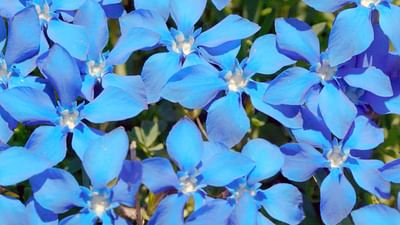 TV-Programm 27/08/2023. Alle Sendungen auf einen Blick | ARTE | ARTE