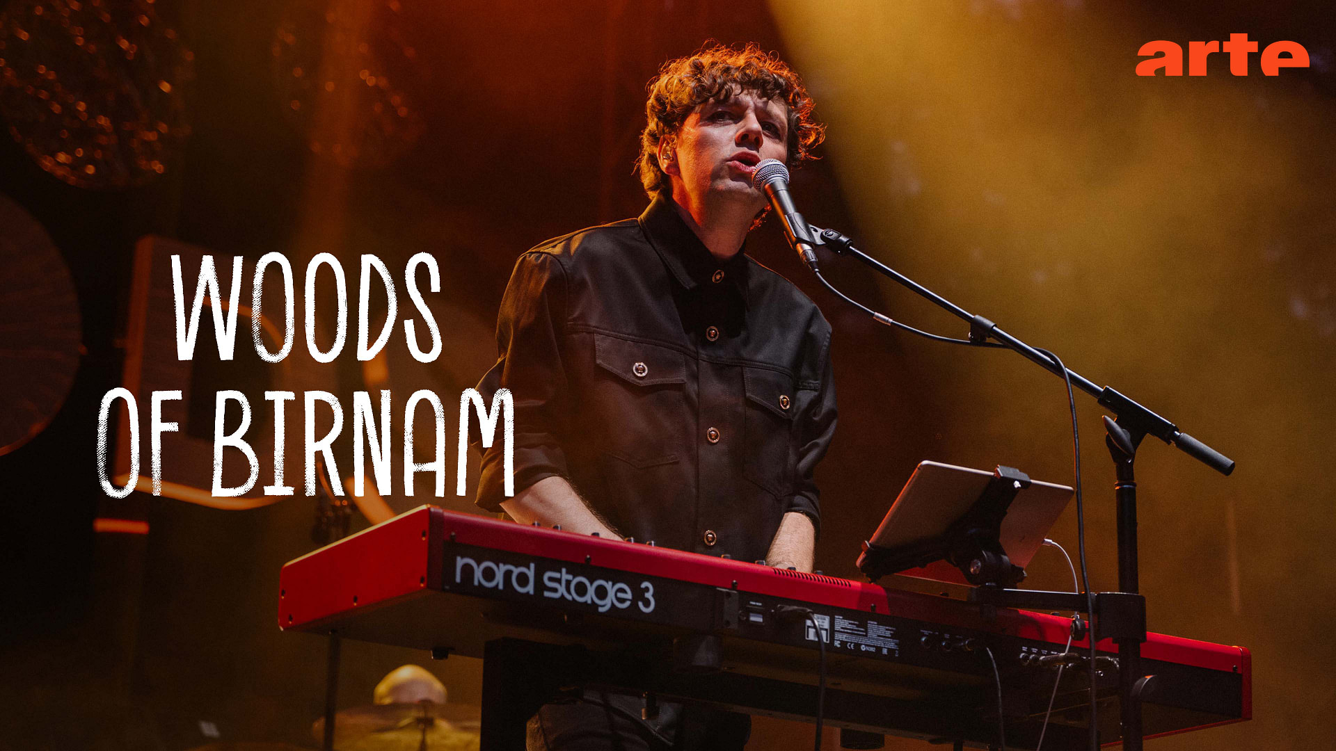 Woods of Birnam - Come to the Woods Open Air Festival 2025 - Regarder ...
