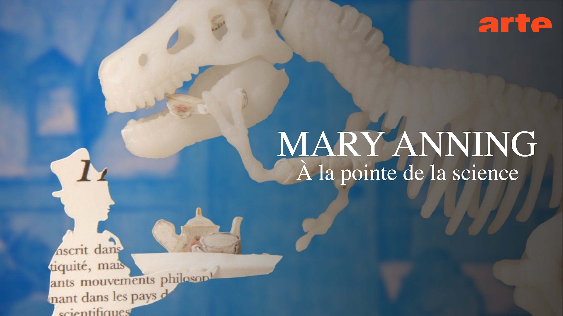 Cherchez la femme ! - Mary Anning - L'évolution de la science au XVIIIe ...