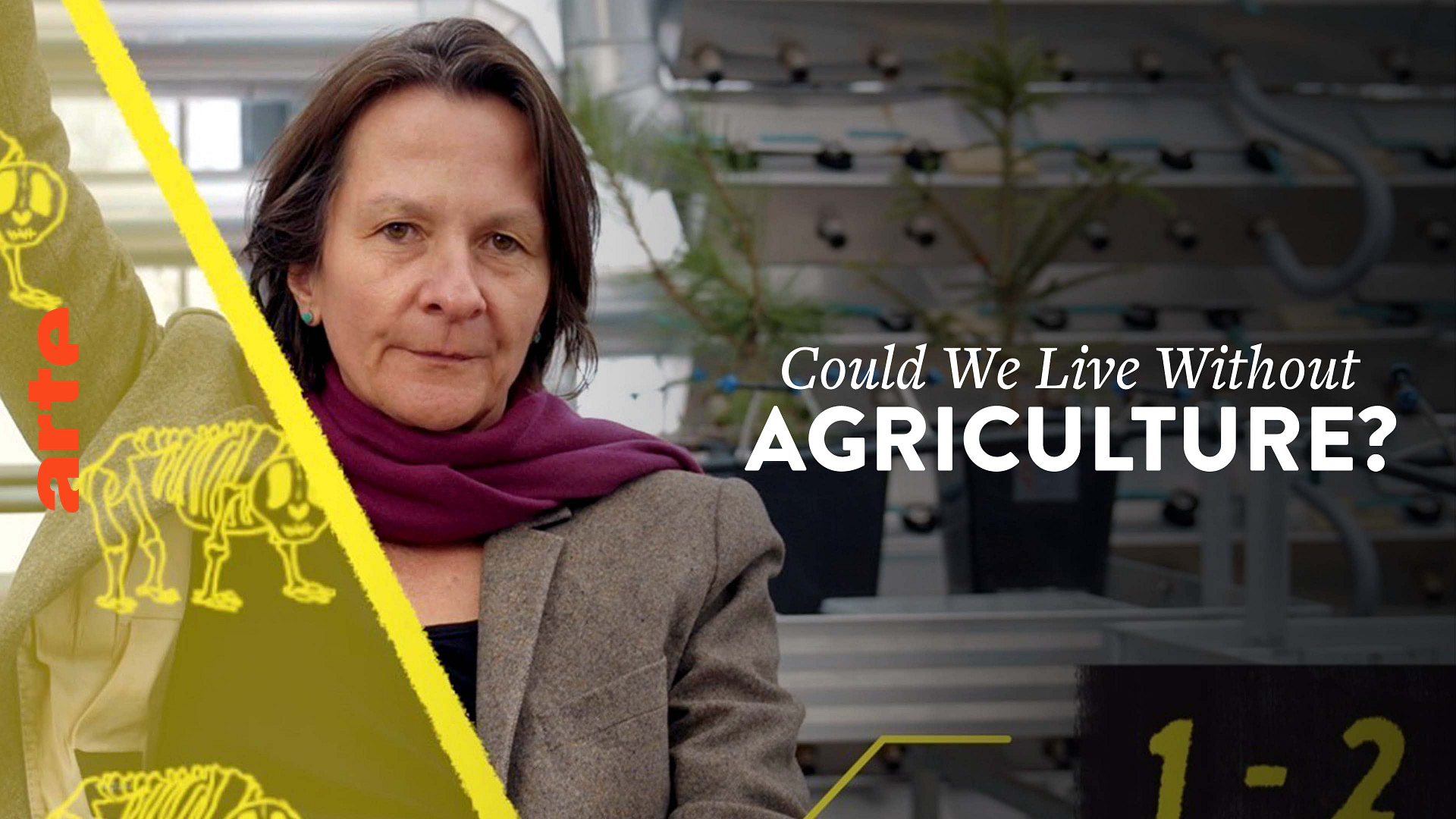 desertification documentary