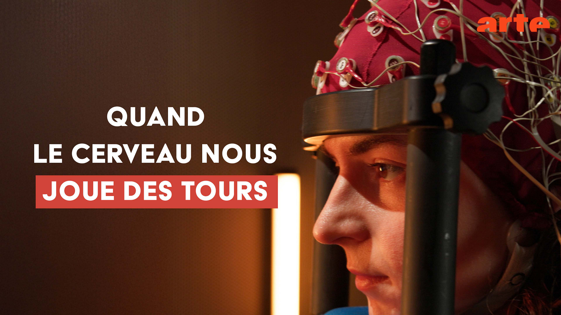 Notre cerveau nous joue des tours (1/2) - Moi et mon cerveau - Regarder ...