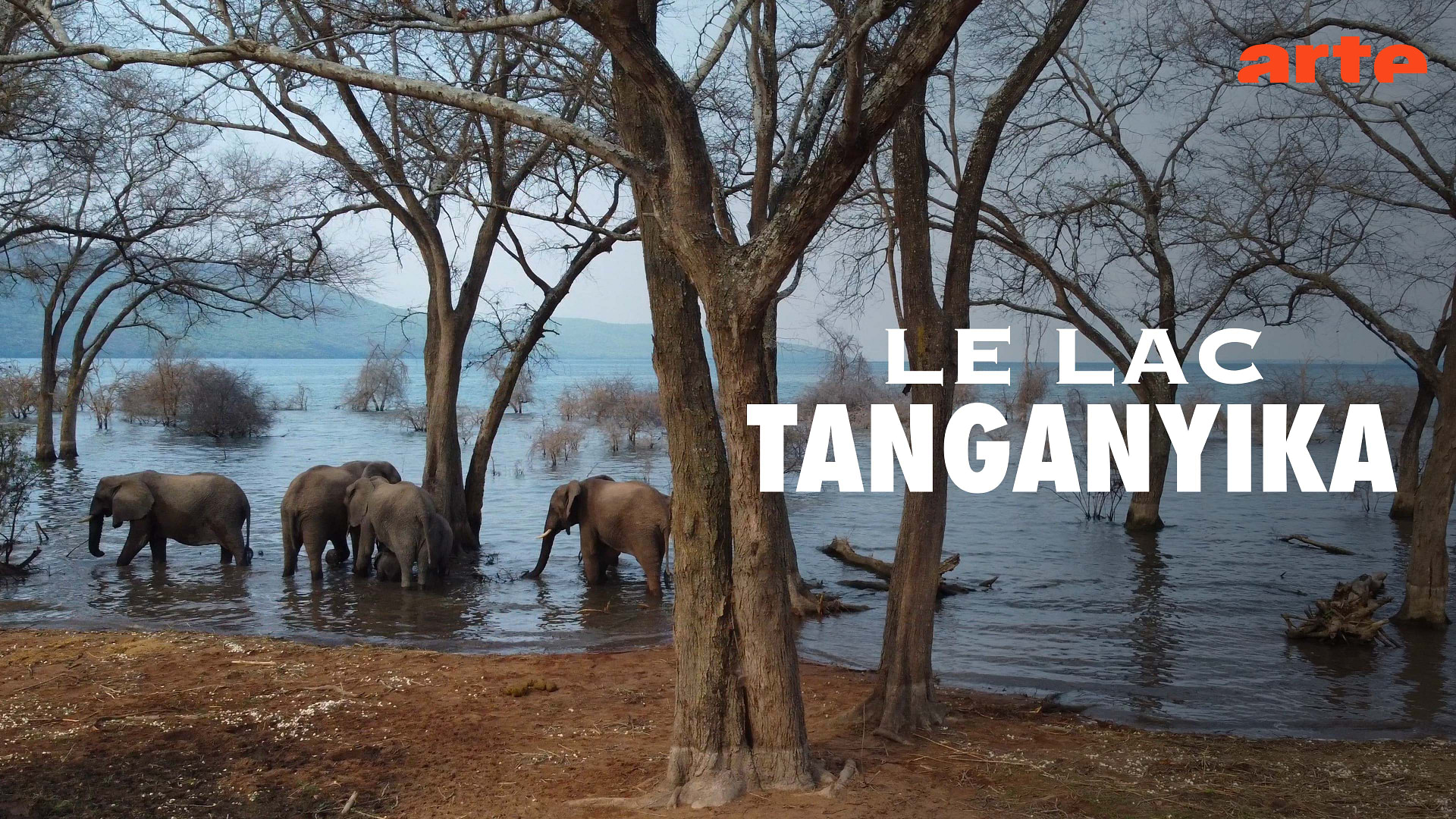 Le lac Tanganyika, la source de vie de l'Afrique - Regarder le ...