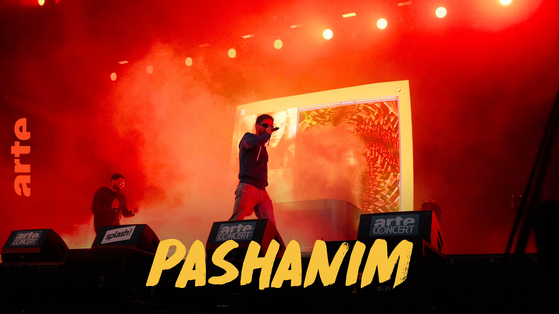 Pashanim - splash! Festival 2024 - Regarder le programme complet | ARTE ...