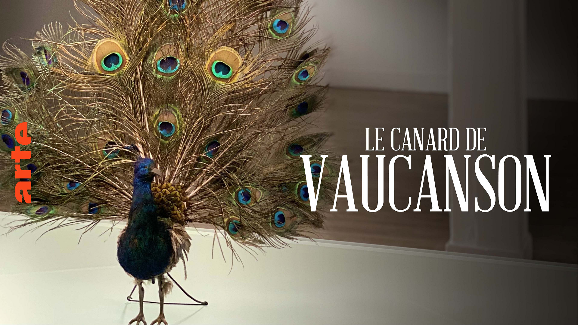 Faire l'histoire - Le canard de Vaucanson, l’automate disparu ...