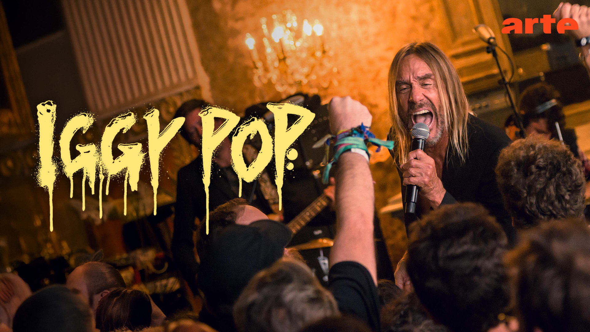 Iggy Pop - ARTE Concert Festival 2019 - Guarda il concerto completo ...