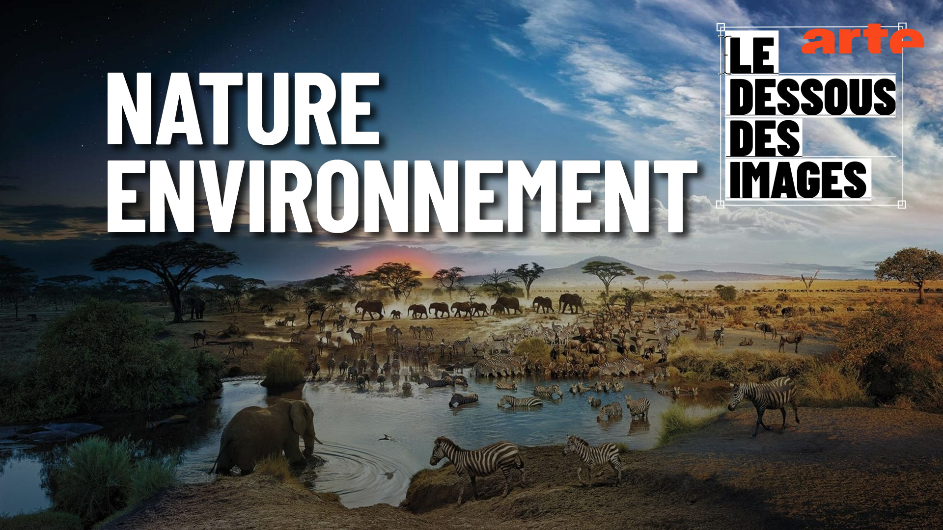 Nature et environnement - Le dessous des images - Info et société | ARTE