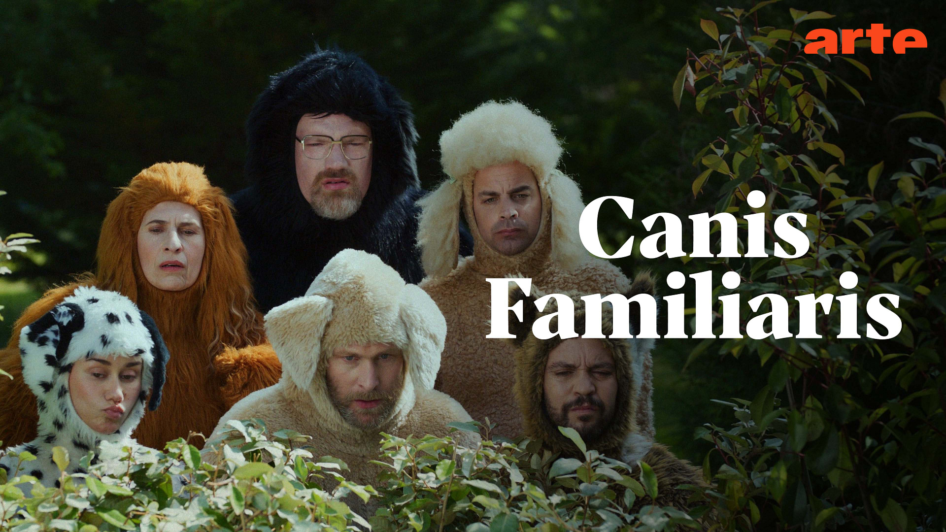 Canis Familiaris (1/6) - Regarder le film complet | ARTE