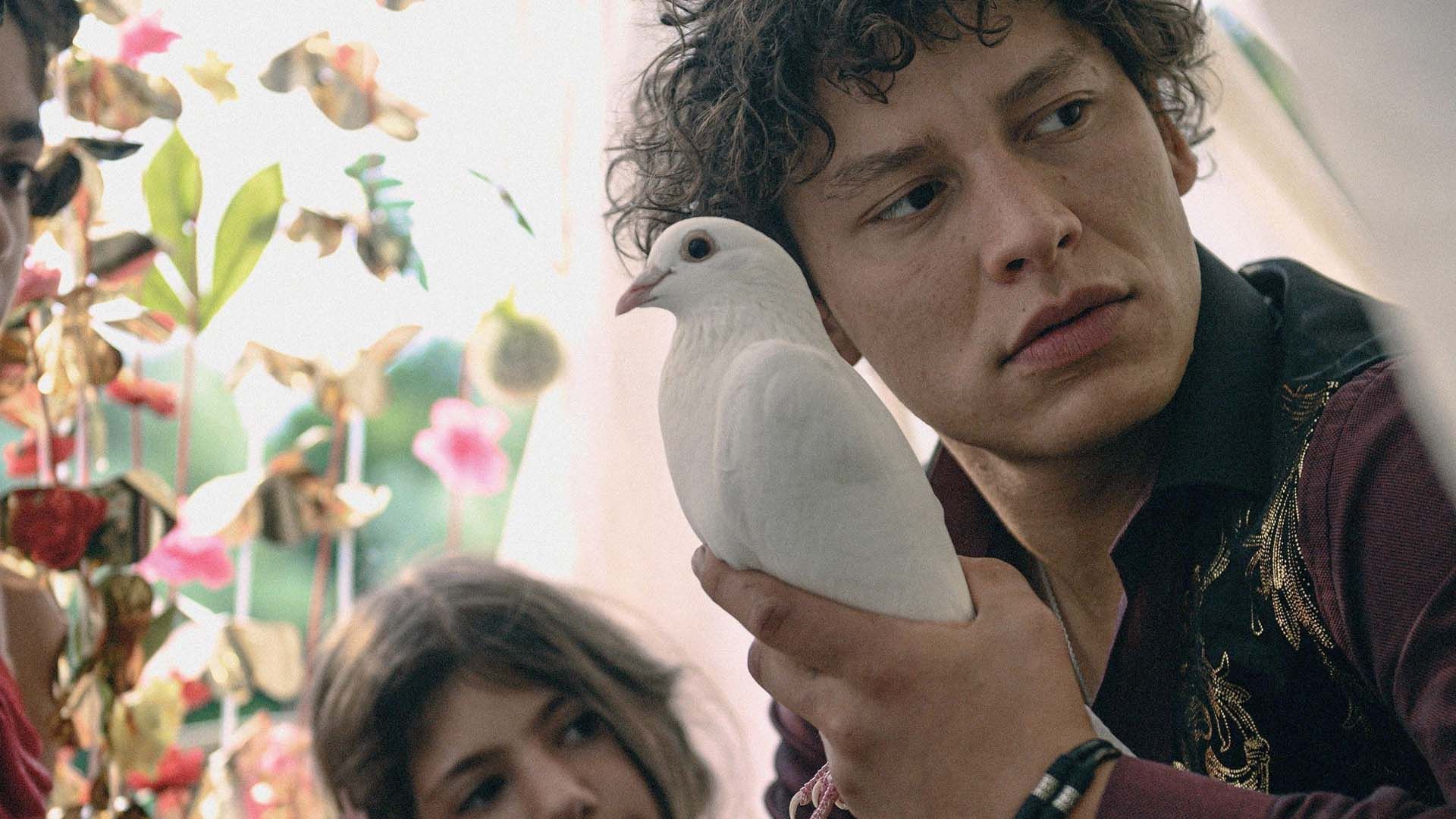 Kino - Klassiker und neue Filme im Livestream und im Replay | ARTE