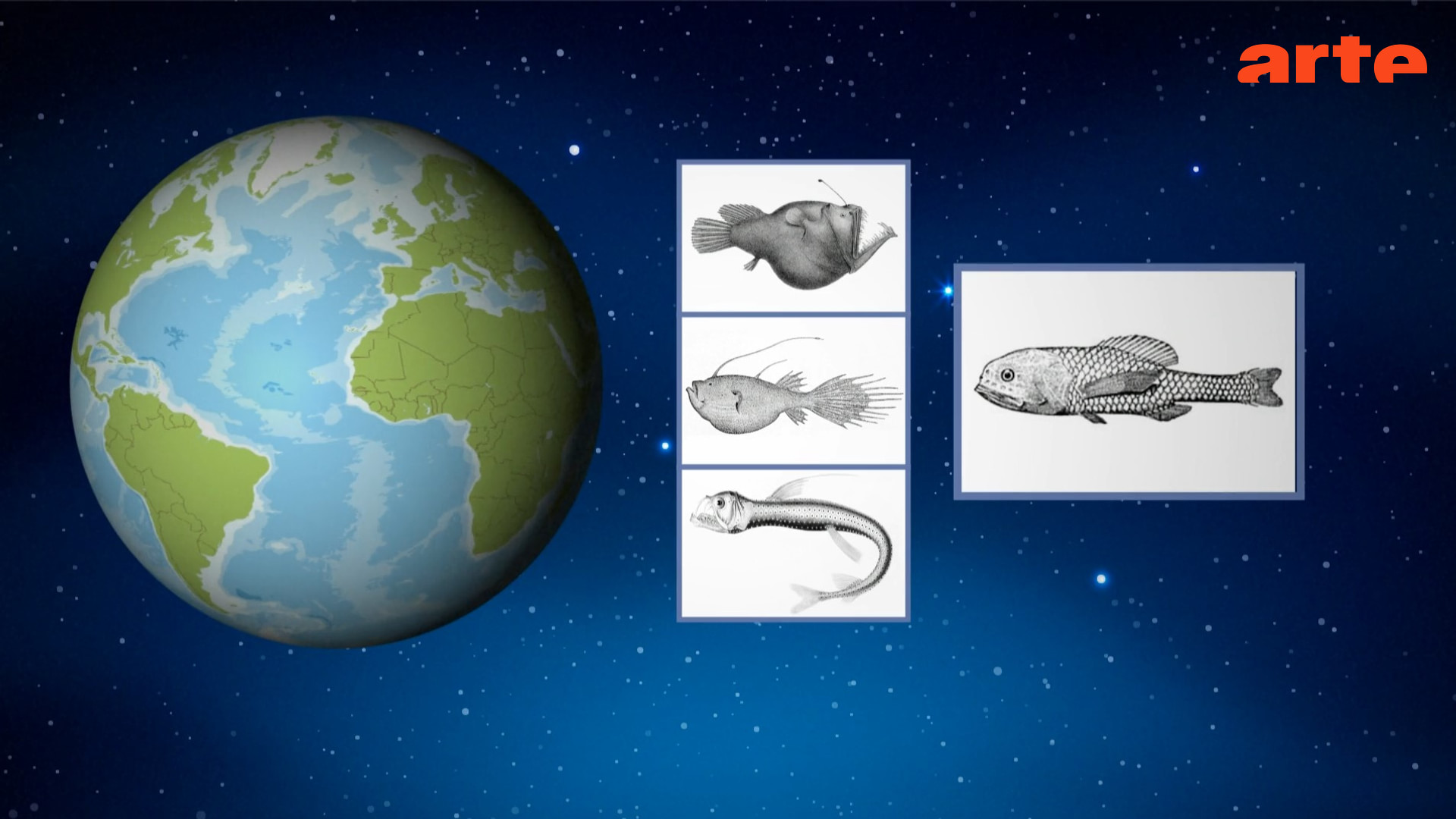 Pourquoi en savons-nous plus sur l'espace que sur les grands fonds ...
