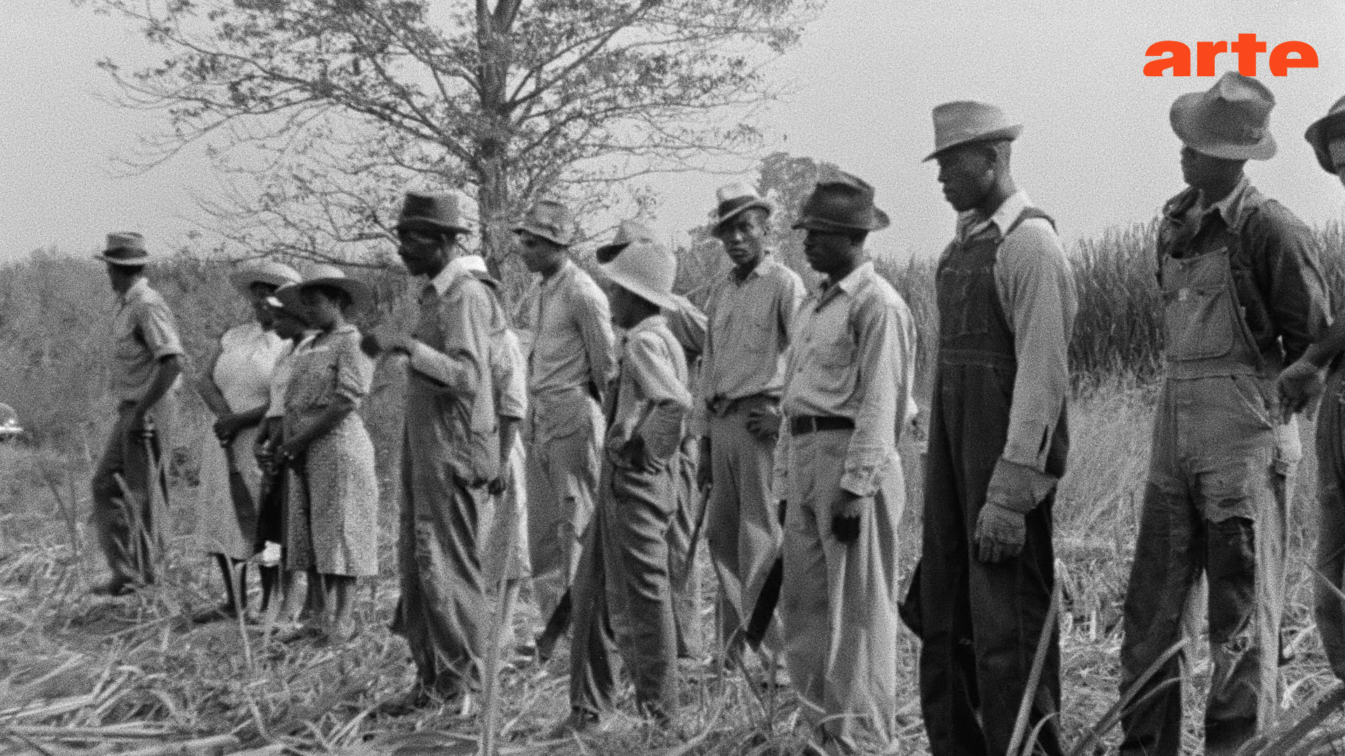 Le sucre, pour la douceur et pour le pire (2/2) - Regarder le documentaire complet | ARTE