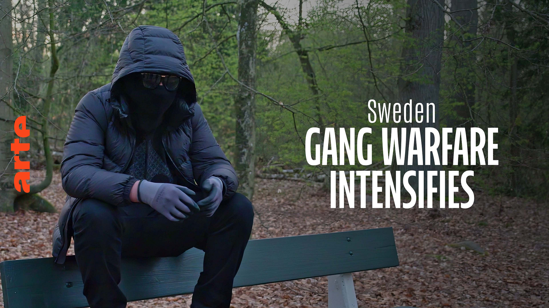 Re: Sweden's Gang Problem Worsens - Watch the full documentary | ARTE ...