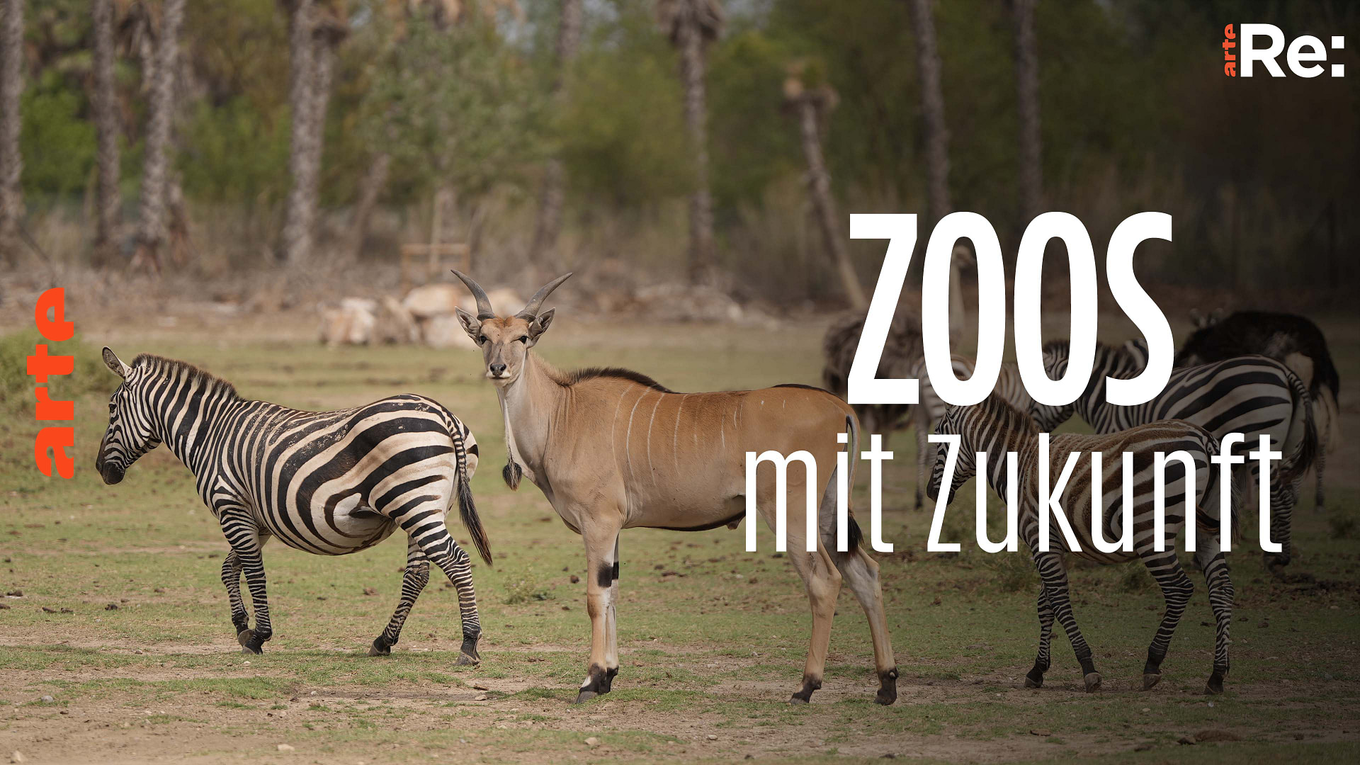 Re: Zoos mit Zukunft - Mehr Wildnis wagen - Die ganze Doku | ARTE