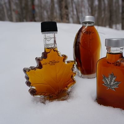 Discovery | ARTE in English