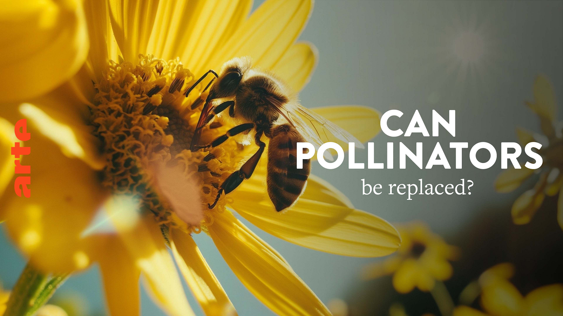 42: The Answer to Almost Everything - Can We Replace Pollination ...