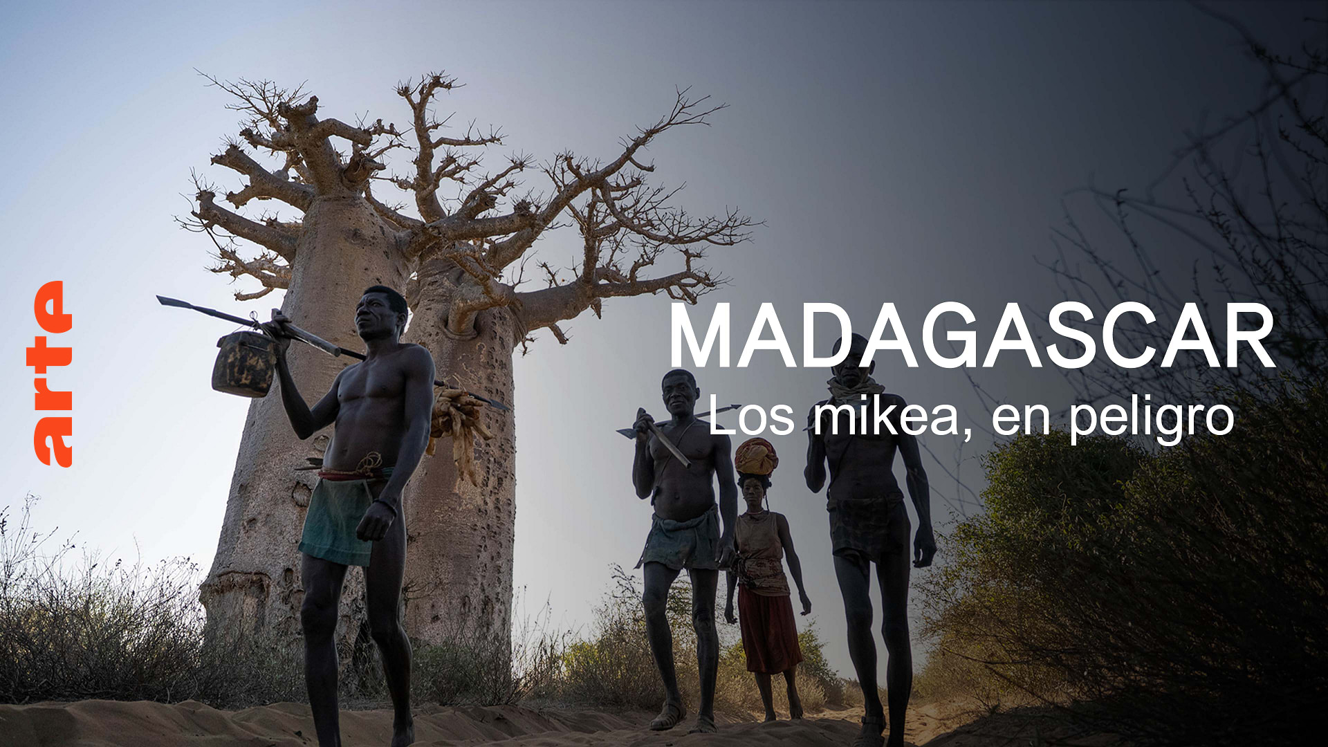 ARTE Reportaje - Madagascar: los mikea, últimos guardianes del bosque ...
