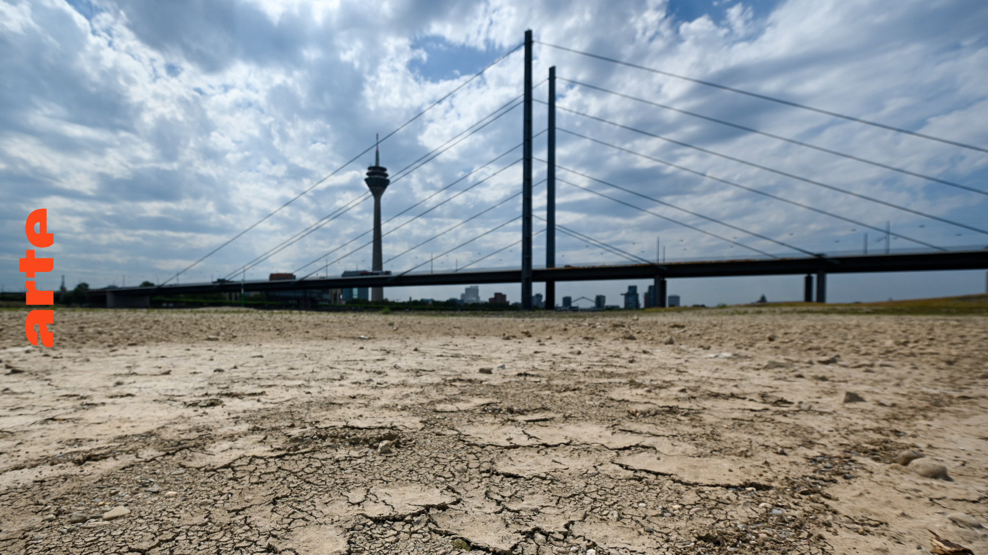 Susza i fala upałów: globalne plagi tego lata - Polityka i ...