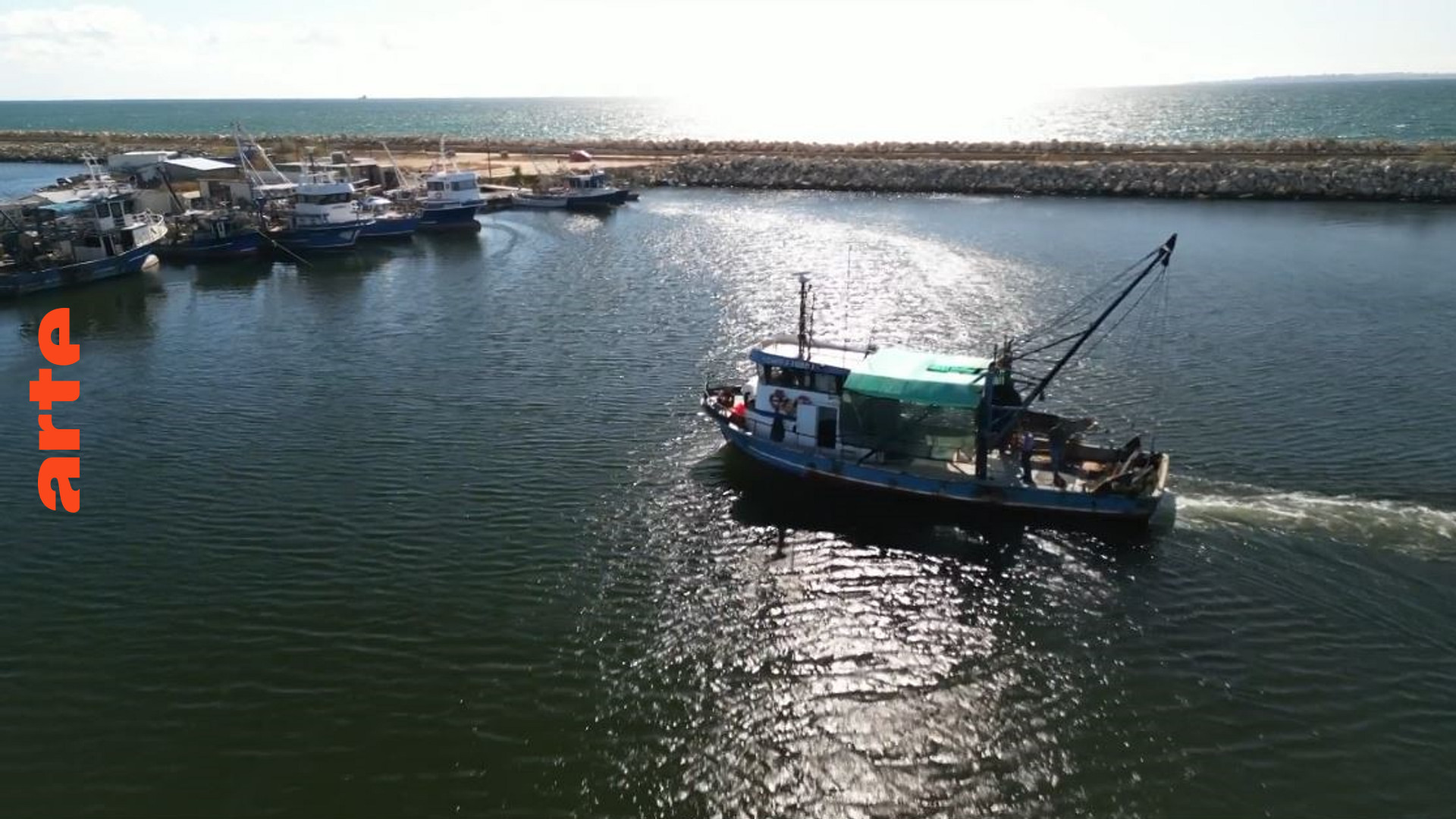 Romania: i pescatori faccia a faccia con le mine navali - Guarda il ...