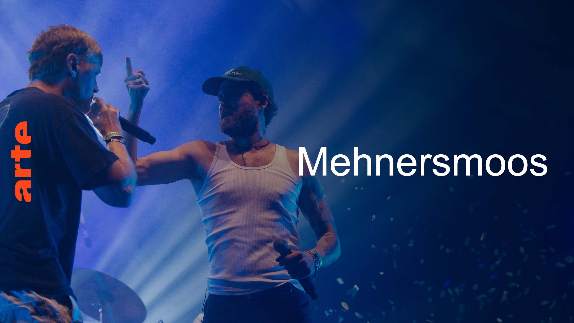 Mehnersmoos - splash! Festival 2024 - Regarder le programme complet | ARTE Concert