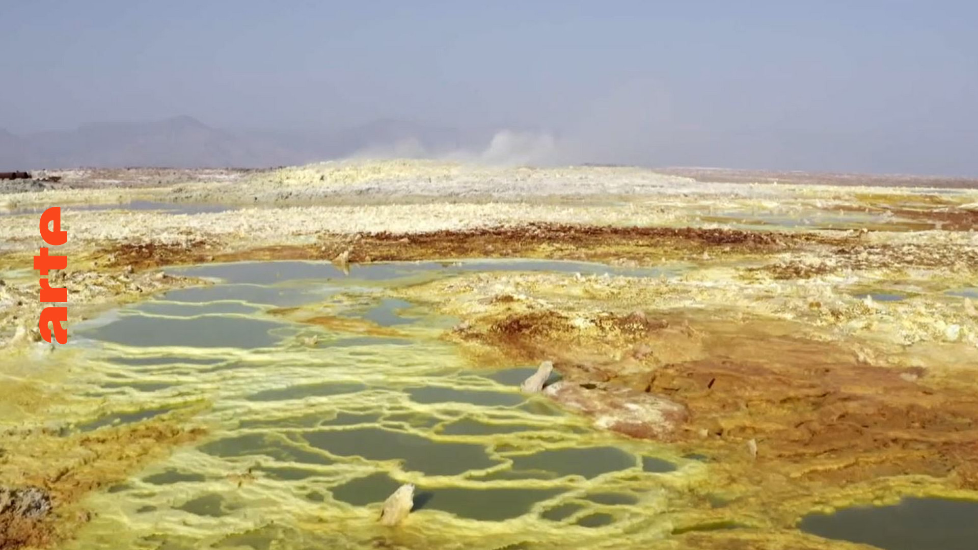 Äthiopien: Das weisse gold der afar - Stadt land kunst - 07/10/2024 ...