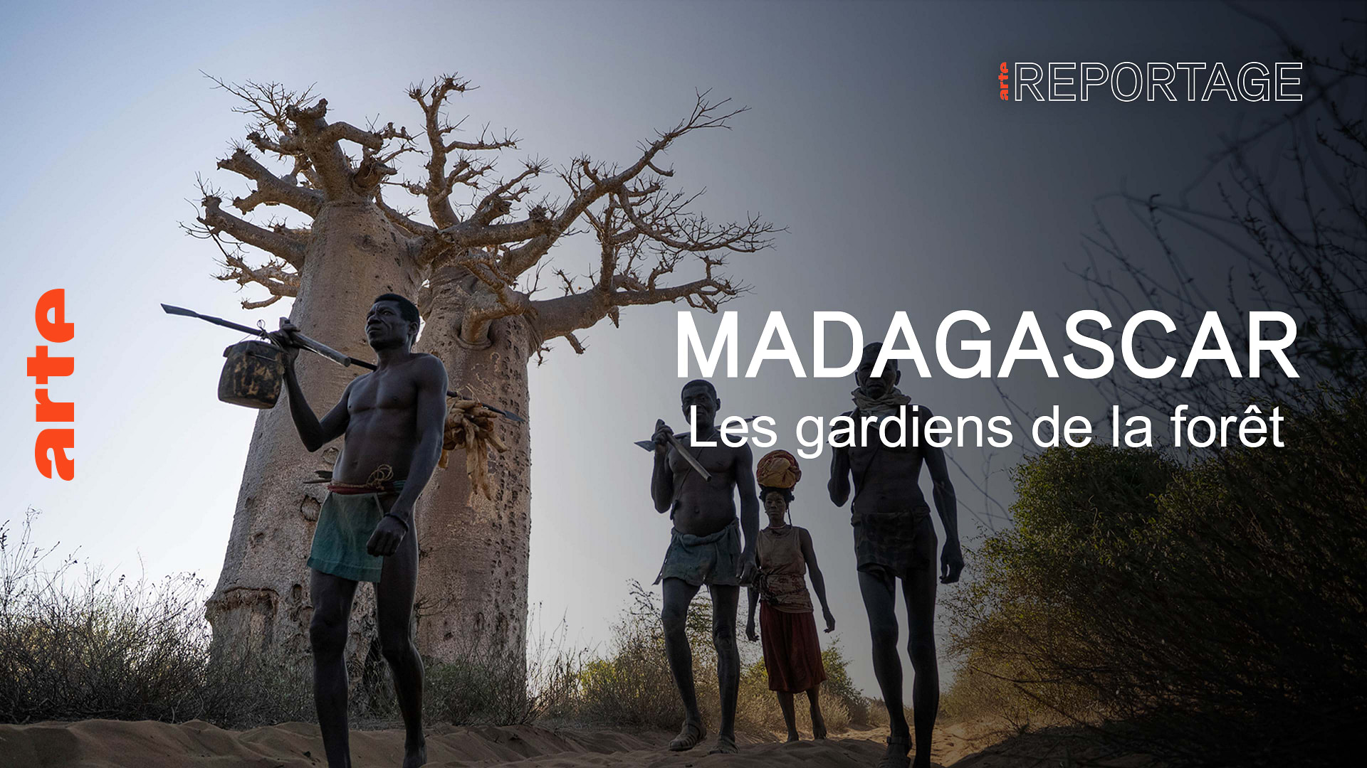Madagascar : les Mikea, derniers gardiens de la forêt - ARTE Reportage ...