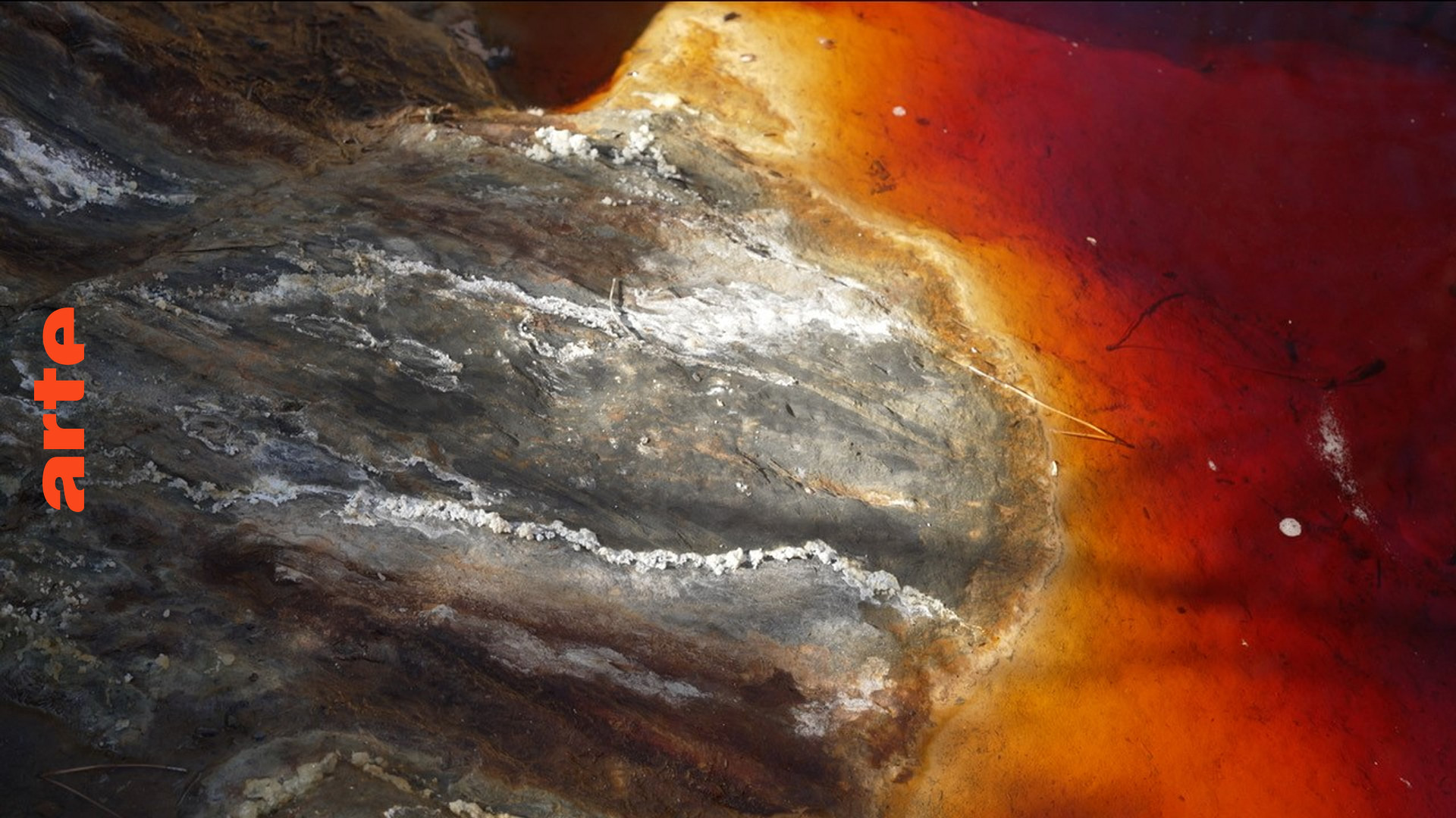 Toxic Tour - Spain: The Acid River - Watch the full documentary | ARTE