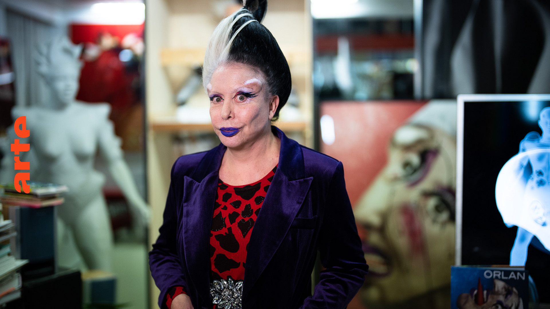 Picasso visto por Orlan - Artista francesa, multimedia y feminista ...