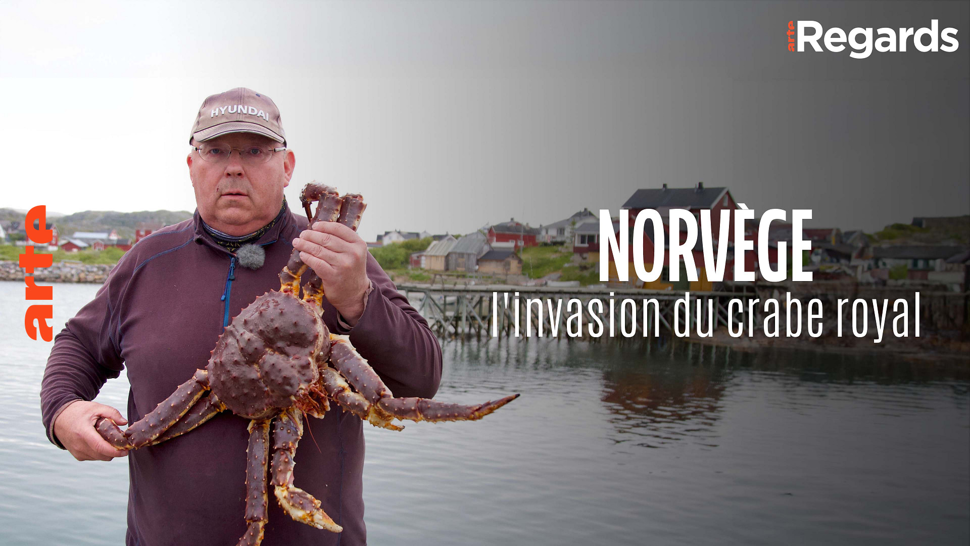 Hilsen KUNST - Kongekrabben, en invasiv art i Norge - Se hele ...