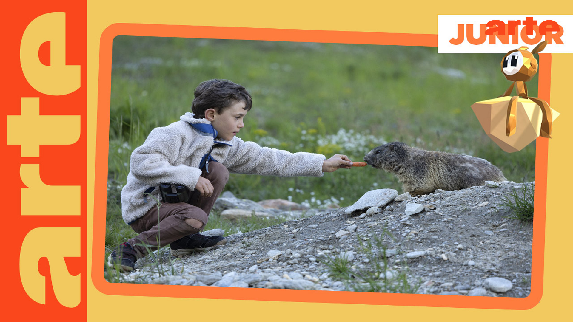 ARTE Journal Junior vom Freitag - Murmeltiere brauchen ihre Ruhe - Komplette Sendung | ARTE