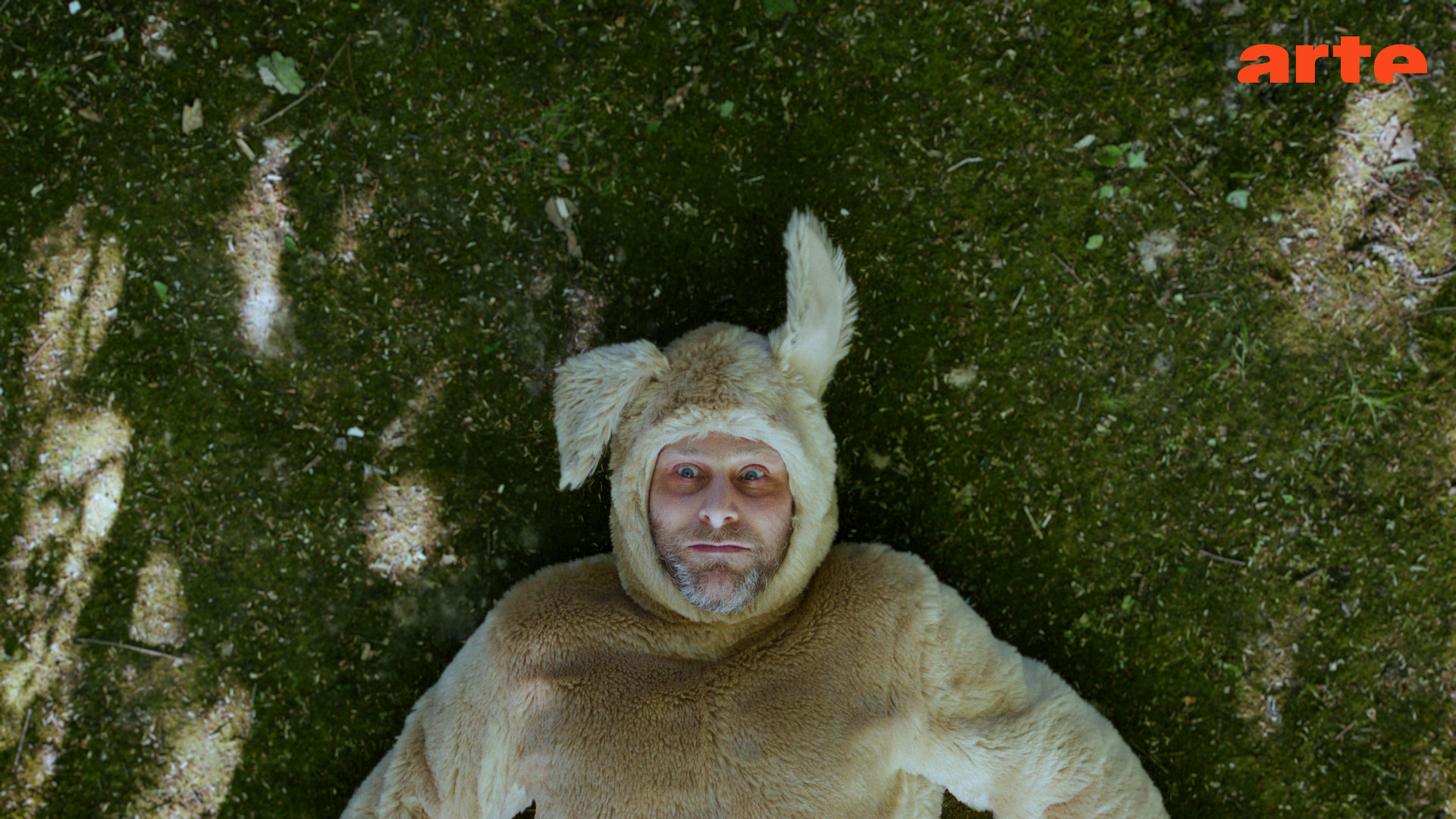 Canis Familiaris (5/6) - Regarder le film complet | ARTE