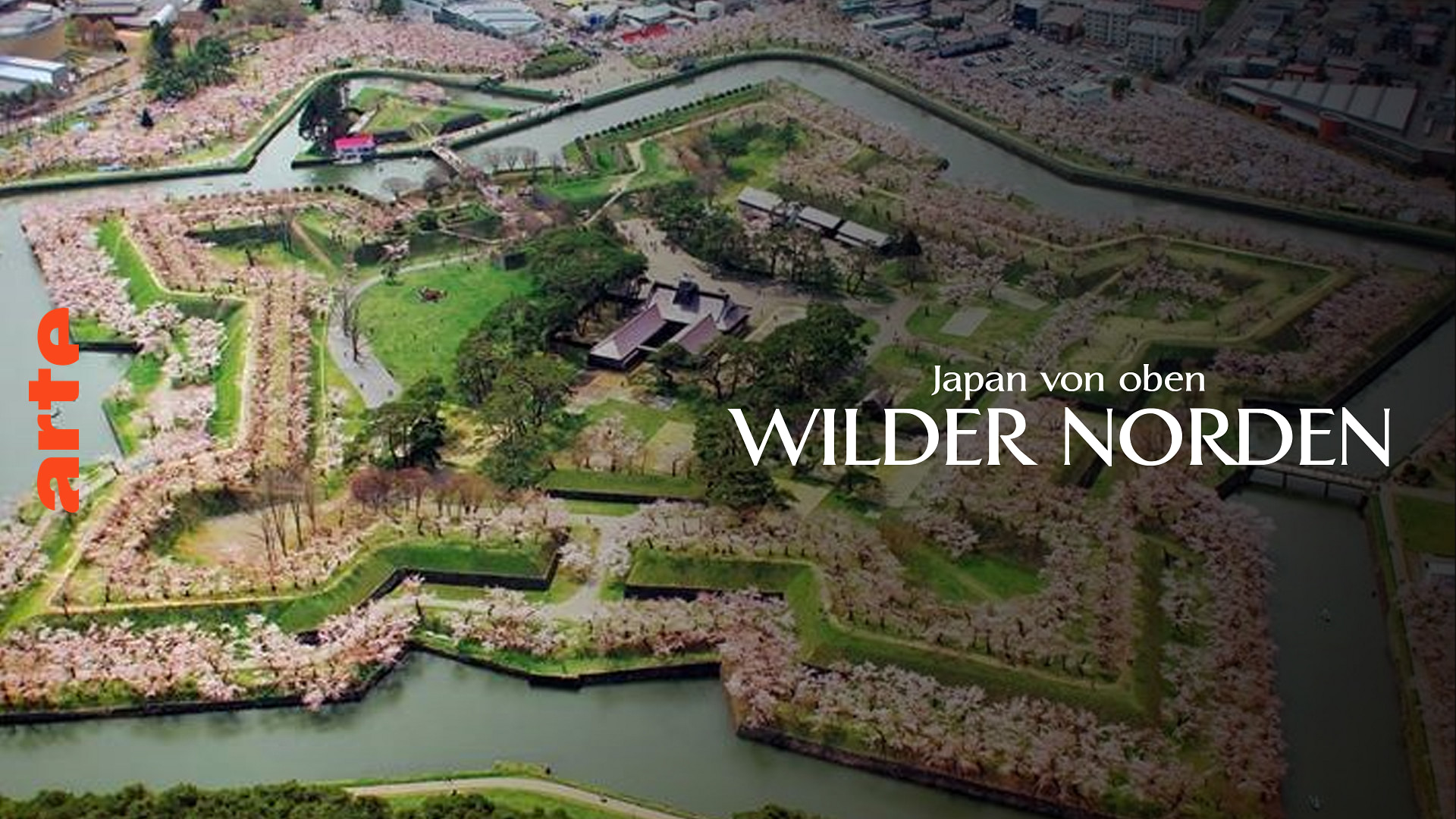 Japan von oben - Wilder Norden - Die ganze Doku | ARTE