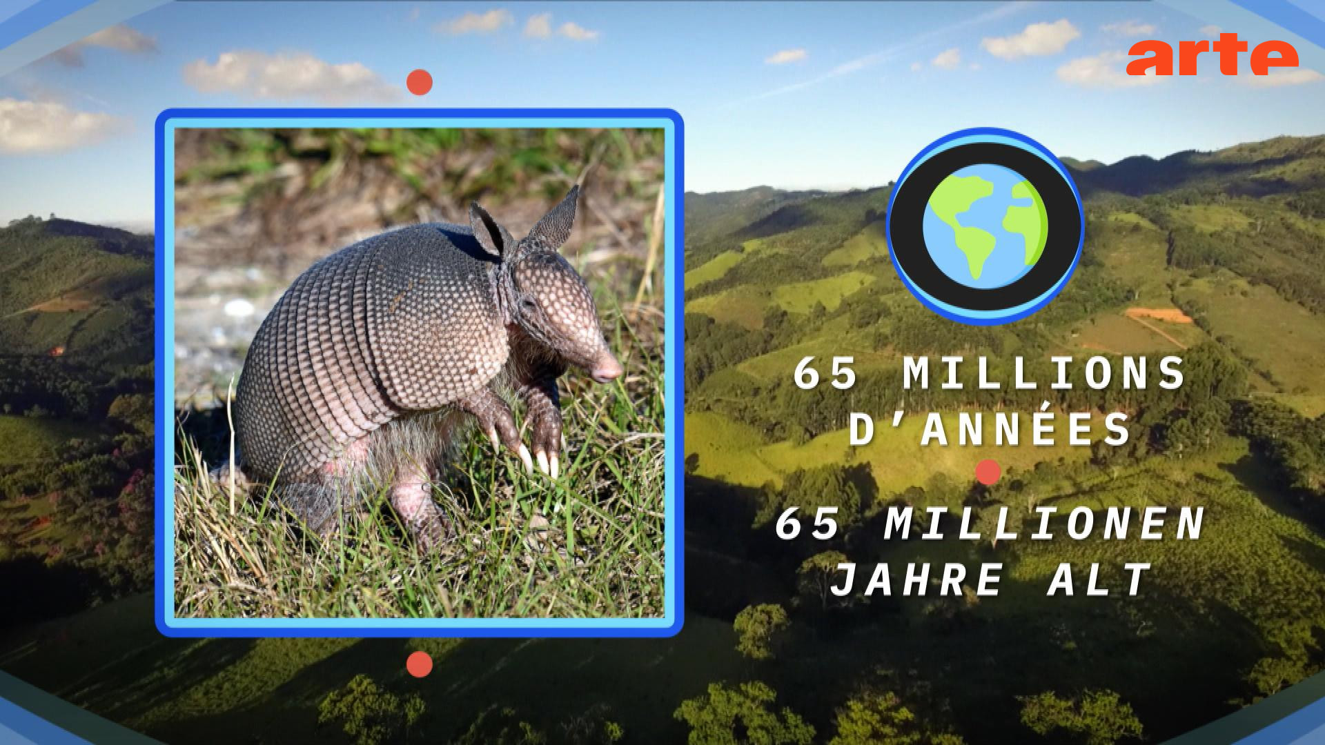 Le tatou sans tabou - Invitation au voyage (22/08/2023) - Regarder le ...