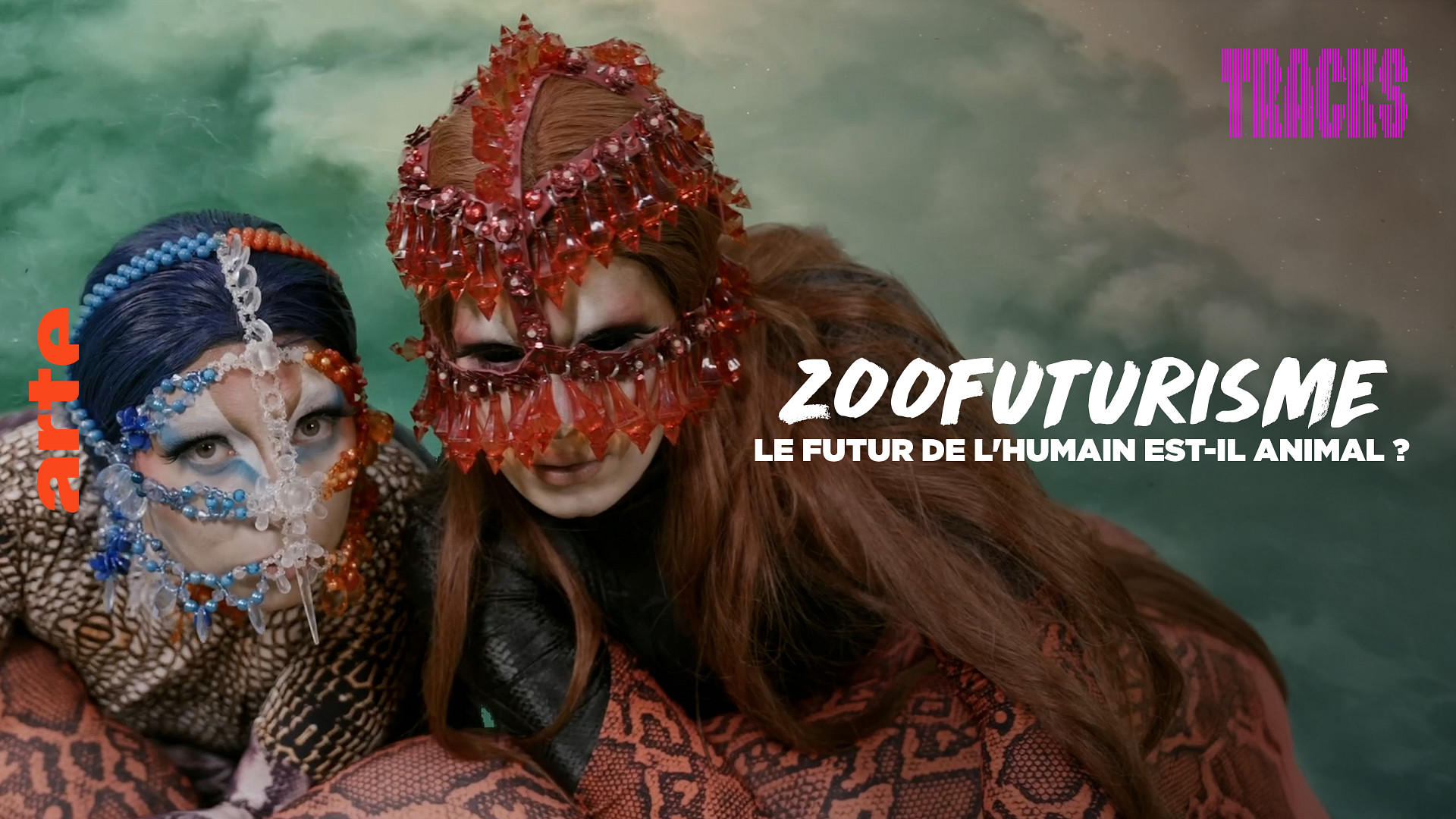 Tracks - Zoofuturisme : le futur de l'humain est-il animal ? - Regarder ...