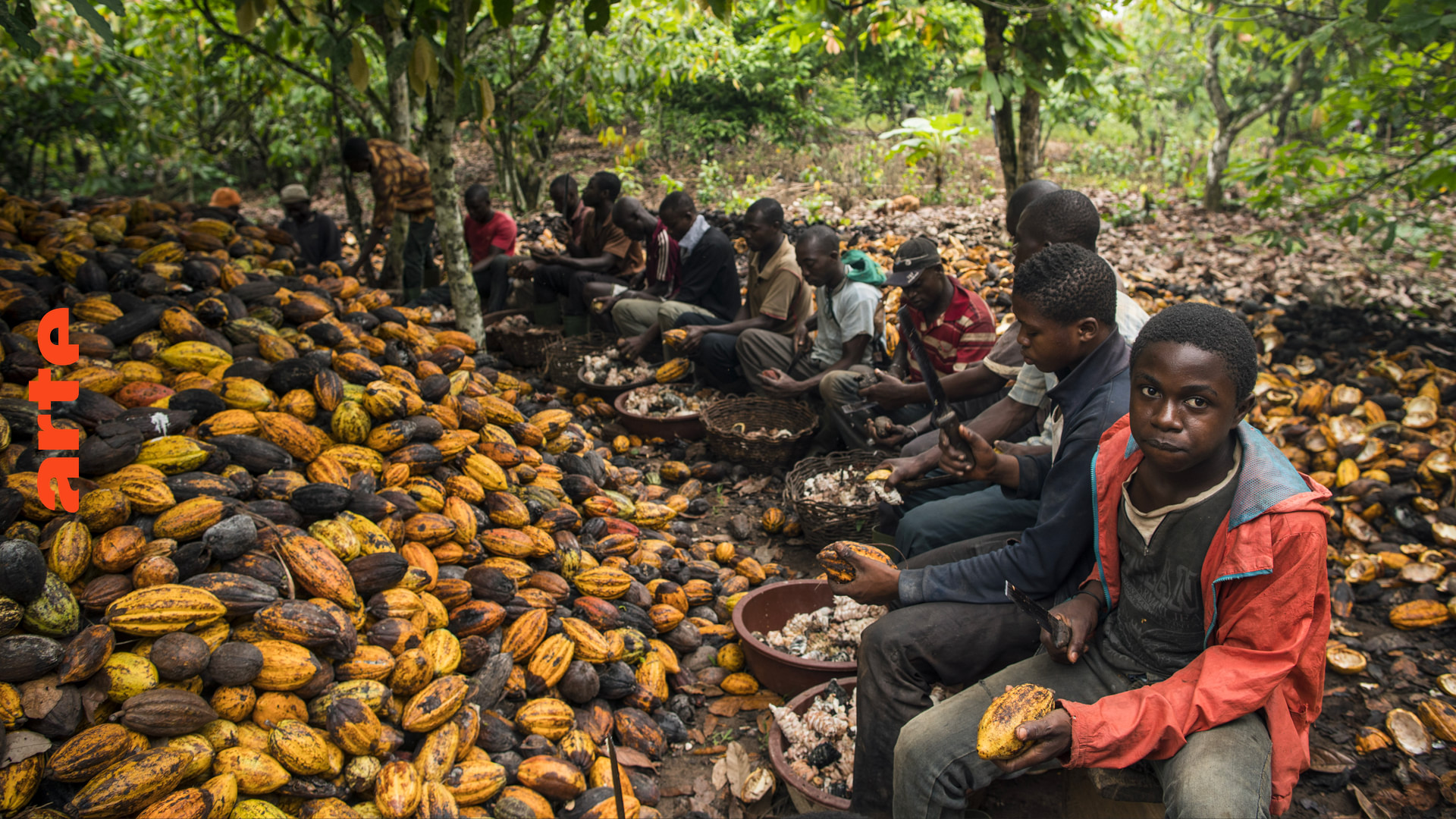 Cacao: Who Profits from Chocolate? - Mapping the World - Watch the full ...