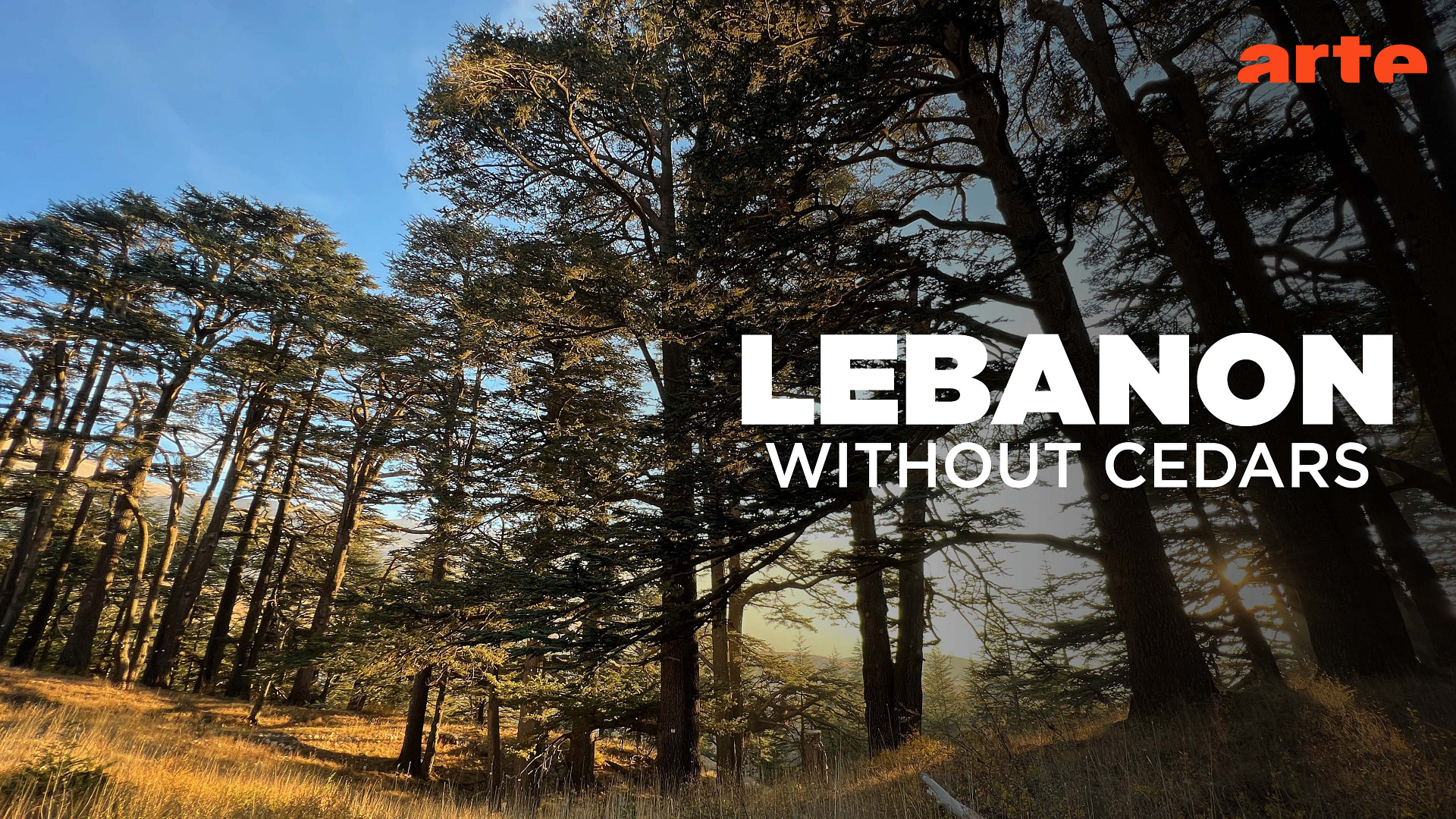 ARTE Reportage - Lebanon Without Cedars - Watch the full documentary ...