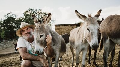 TV-Programm von heute. Alle Sendungen auf einen Blick | ARTE | ARTE