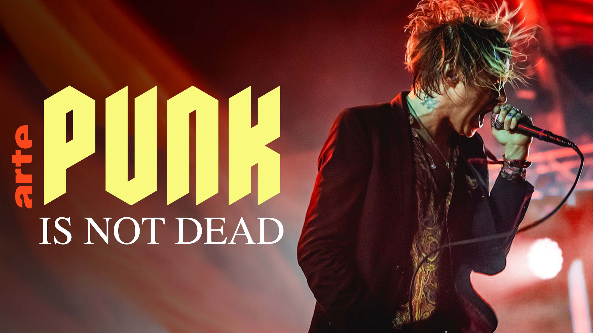 Punk is not dead - ARTE Concert | ARTE in English