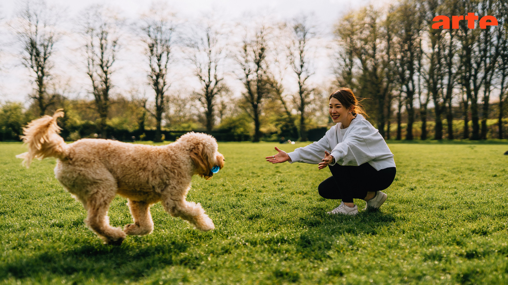 Jessica Serra : nos amis les chiens - 28 Minutes (21/08/2025 ...