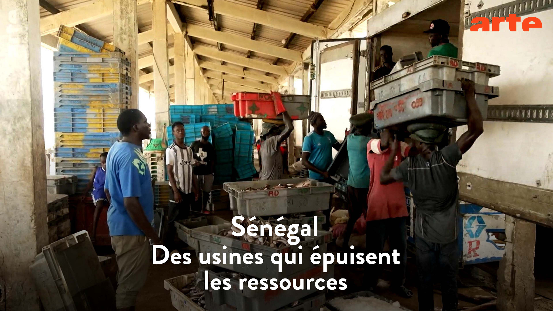 Sénégal : des usines de farine animale causent la surpêche - Regarder ...