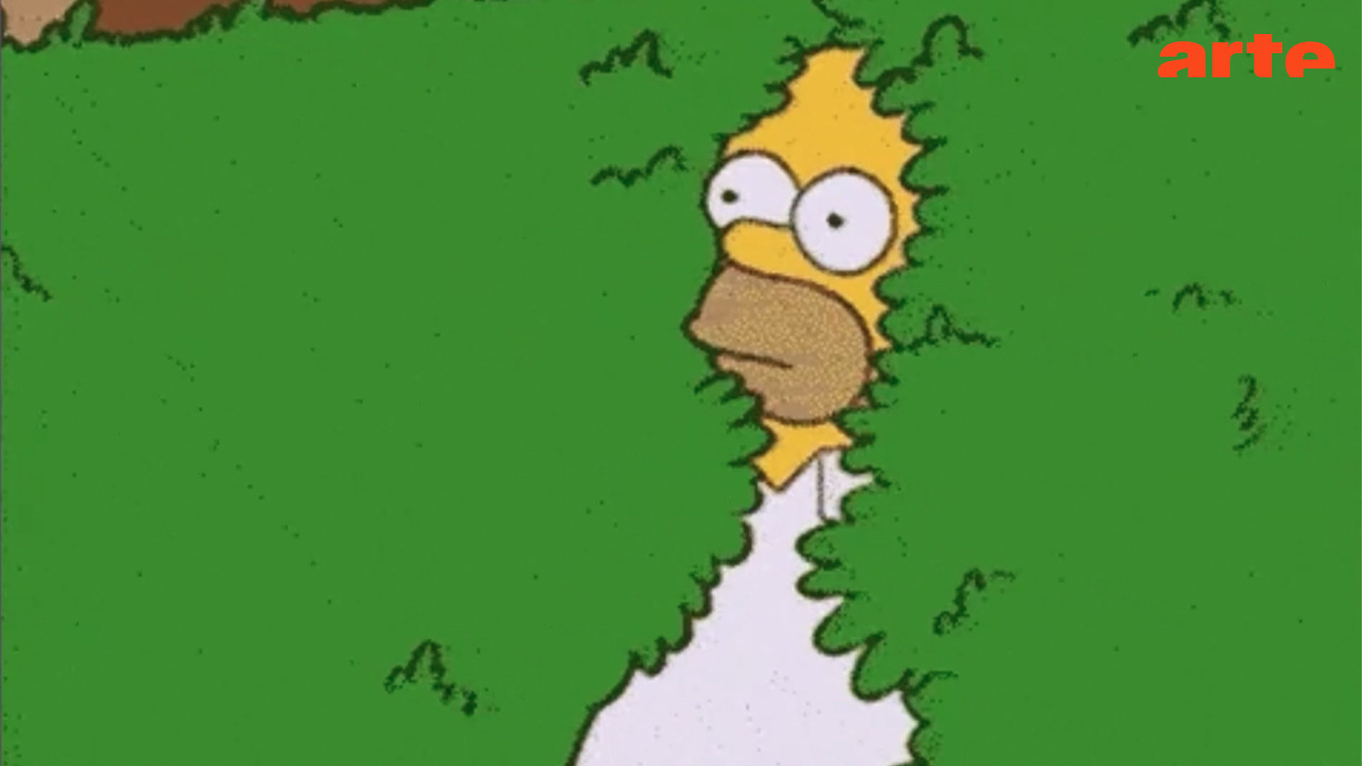 Le dessous des images - Gif, ces émotions en boucle - Regarder l ...