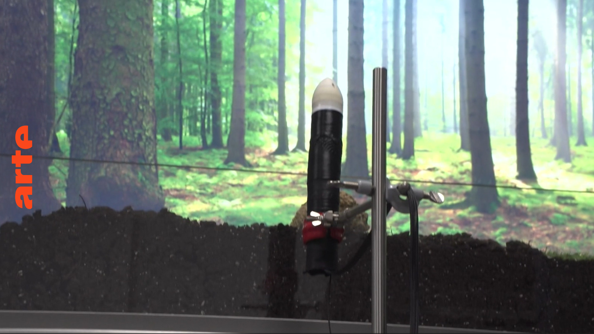 FiloBot - Roboter inspiriert von Kletterpflanzen - Die ganze Doku | ARTE