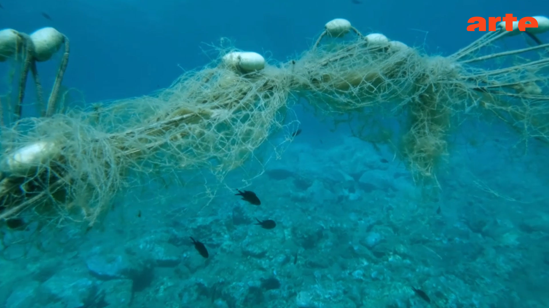 27 - Pêche intensive : un crime contre les océans ? - Regarder l ...