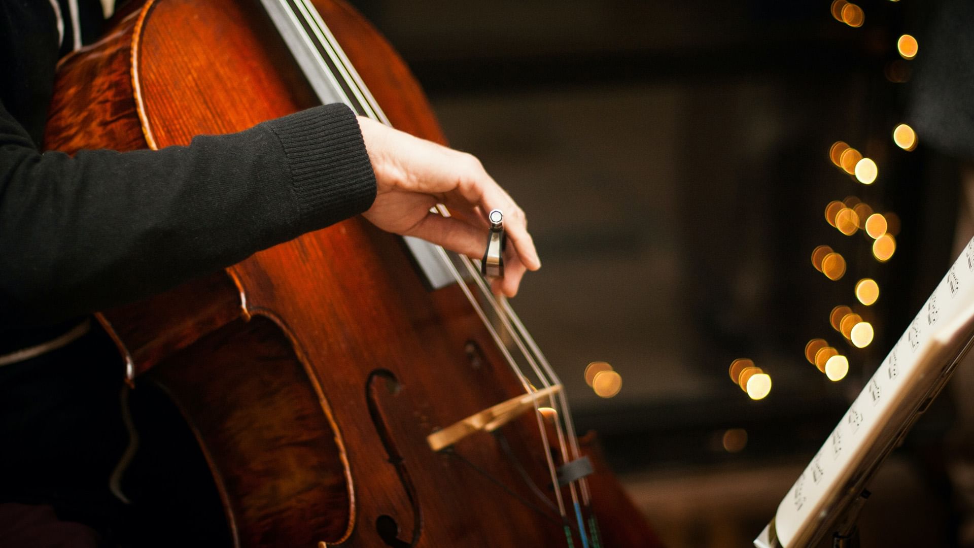 La voix du violoncelle - ARTE Concert | ARTE