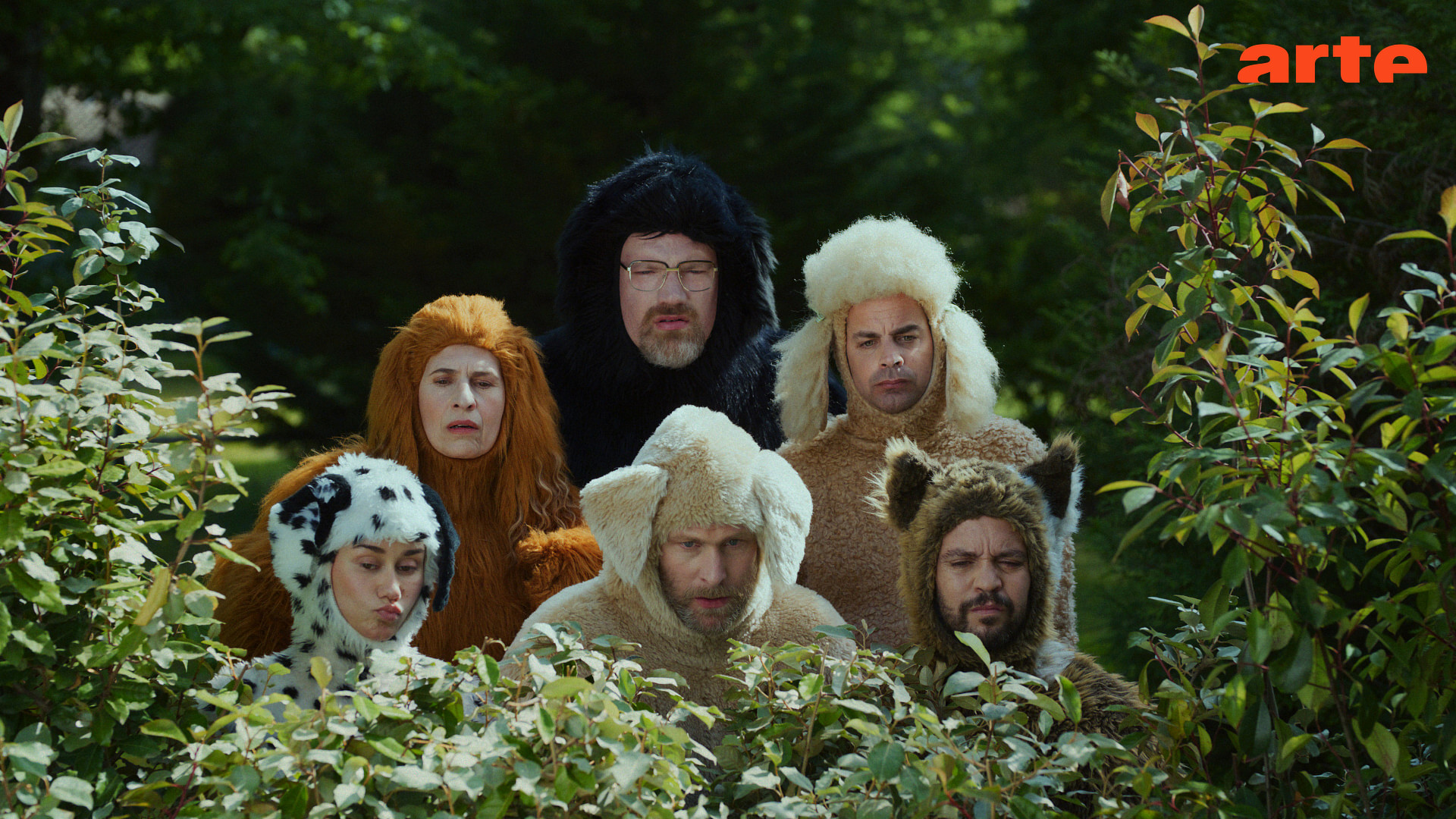 CANIS FAMILIARIS - Bande-annonce - Regarder le film complet | ARTE