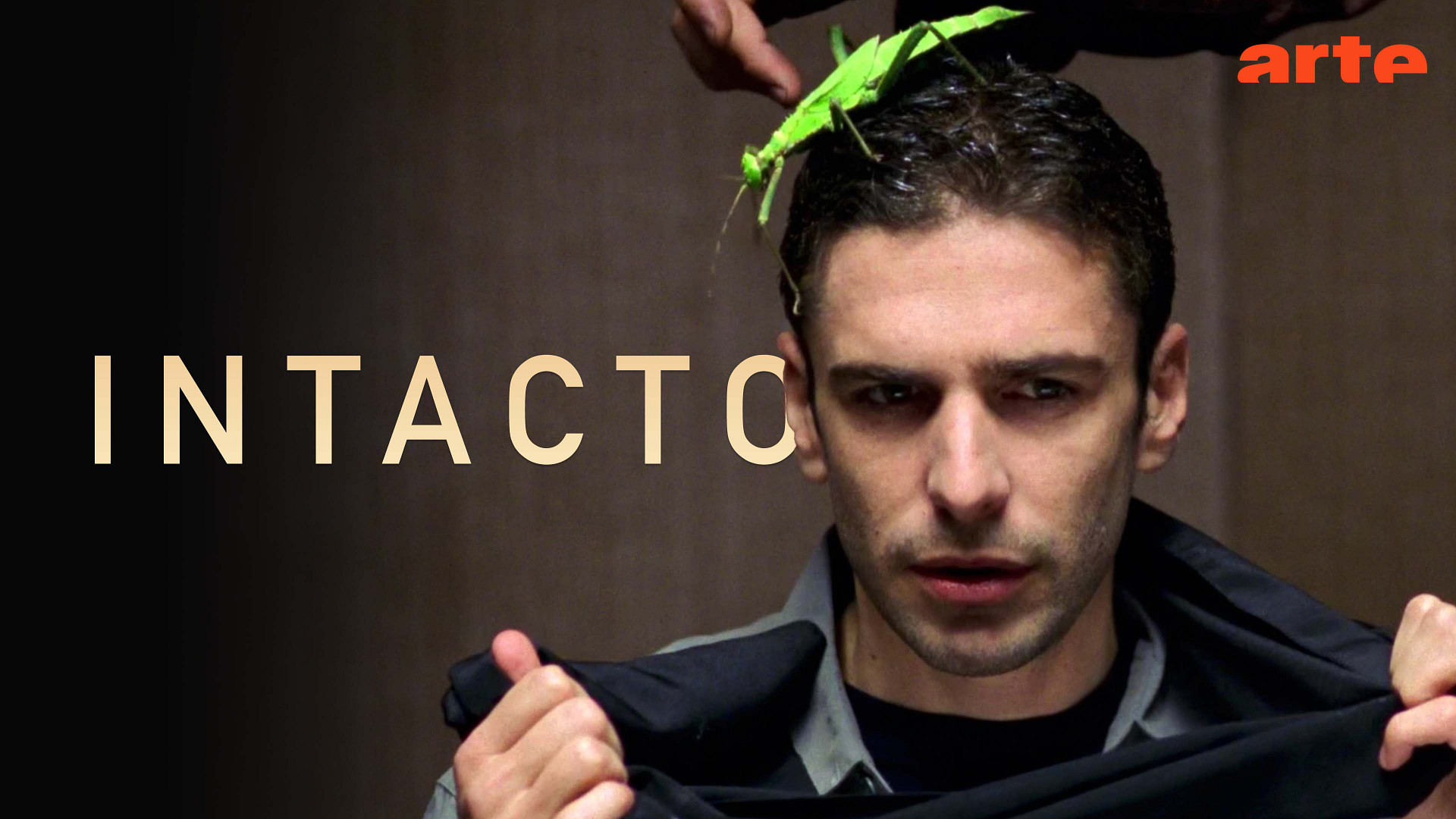 Intacto | ARTE in English