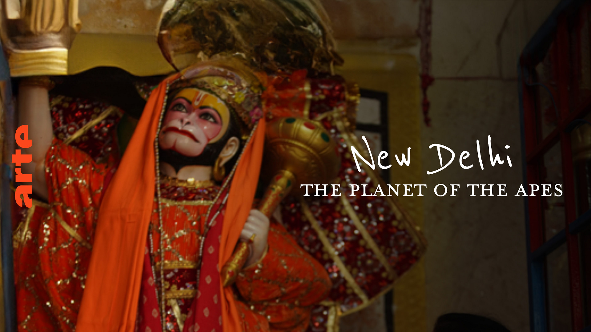 ARTE Reportage - India: New Delhi - The Planet Of The Apes - Watch the ...